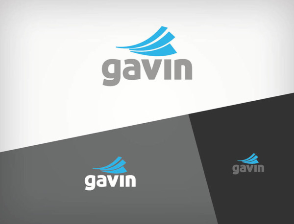 GAVIN - Informatica y Diseño